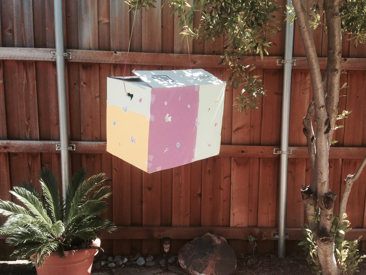 Repurpose a Cardboard Box – Make a Pinata – My Happy Earth
